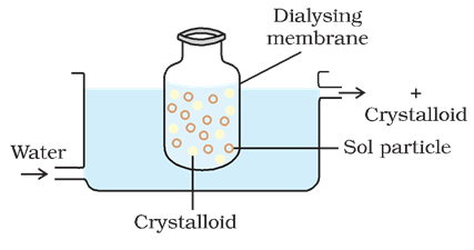 The Colloidal State Preparation and Purification - ScienceMotive