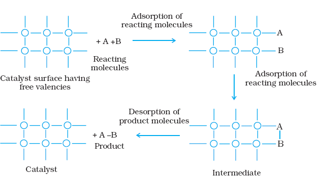 Surface Chemistry Notes Class 12 - ScienceMotive